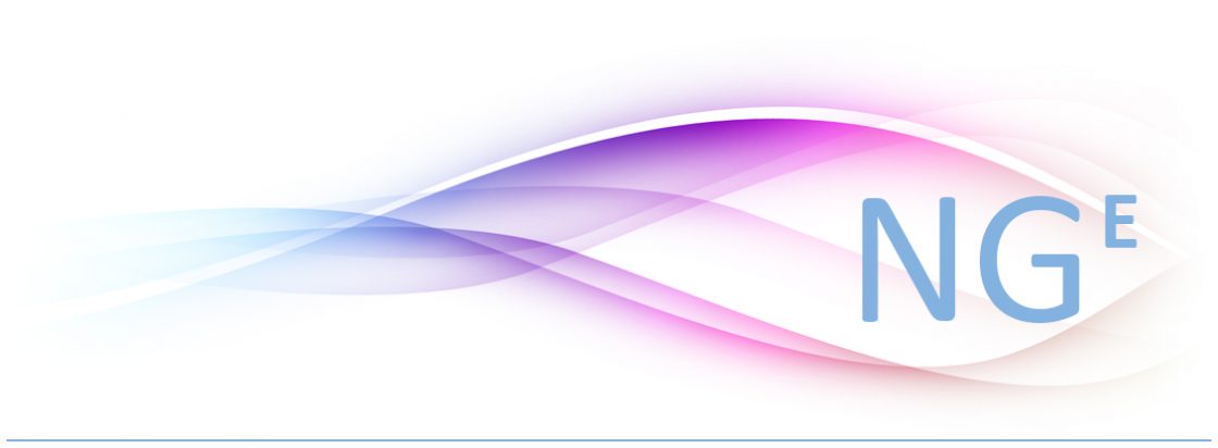 NextGenEnglish.com – Next Generation Experience